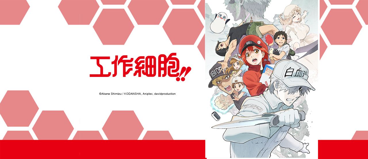 Cells at Work! Season 2｜CATCHPLAY+ Watch Full Movie & Episodes Online